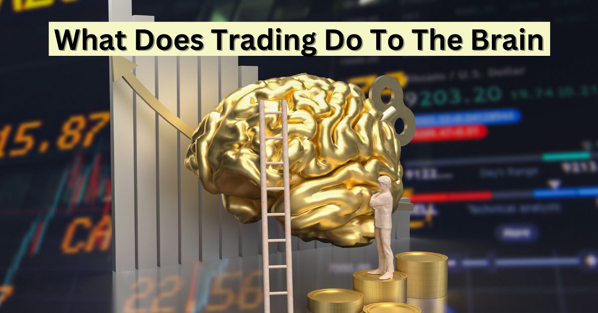 What Does Trading Do To The Brain - On Tilt Trading